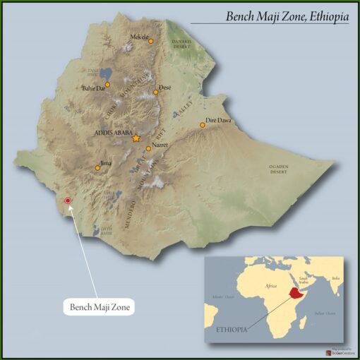 Ethiopia Bench Sheko 3 Natural - 28564 - SPOT RCWHSE | Royal Coffee