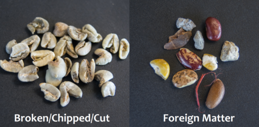 Green Coffee Analytics Part III - Visual Defects | Royal Coffee