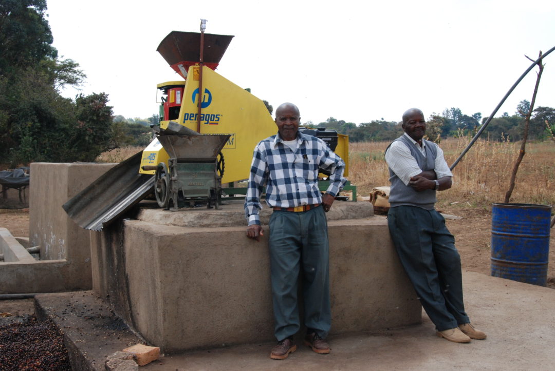 Hybrid Processing Methods | Royal Coffee