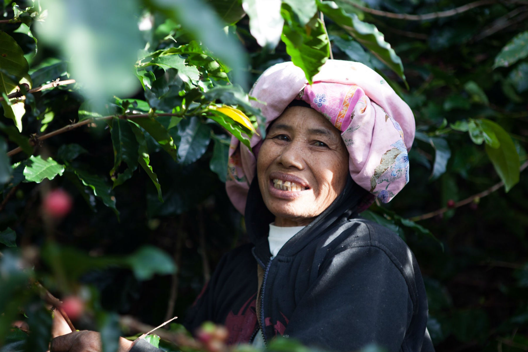 A New Women’s Cooperative In Java | Royal Coffee