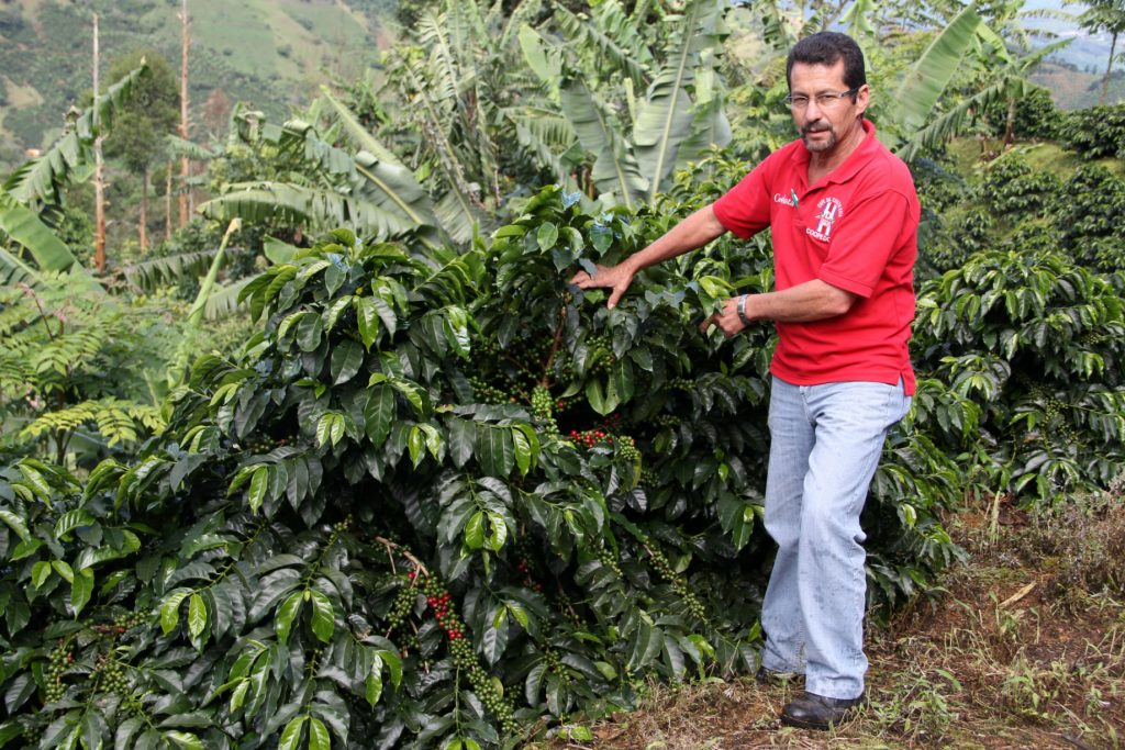 Costa Rica El Cedral Dota Natural AAA EP - 30591 - GrainPro Bags - SPOT ...