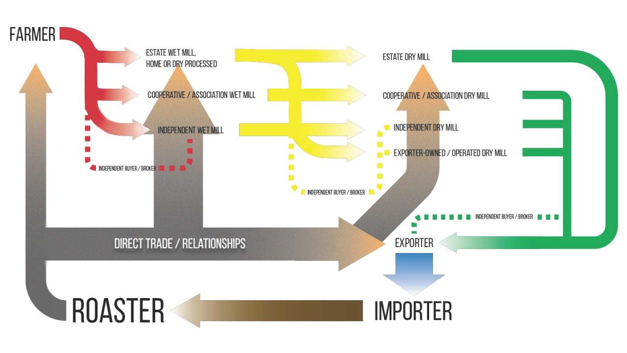 The Coffee Supply Chain: An Infographic | Royal Coffee