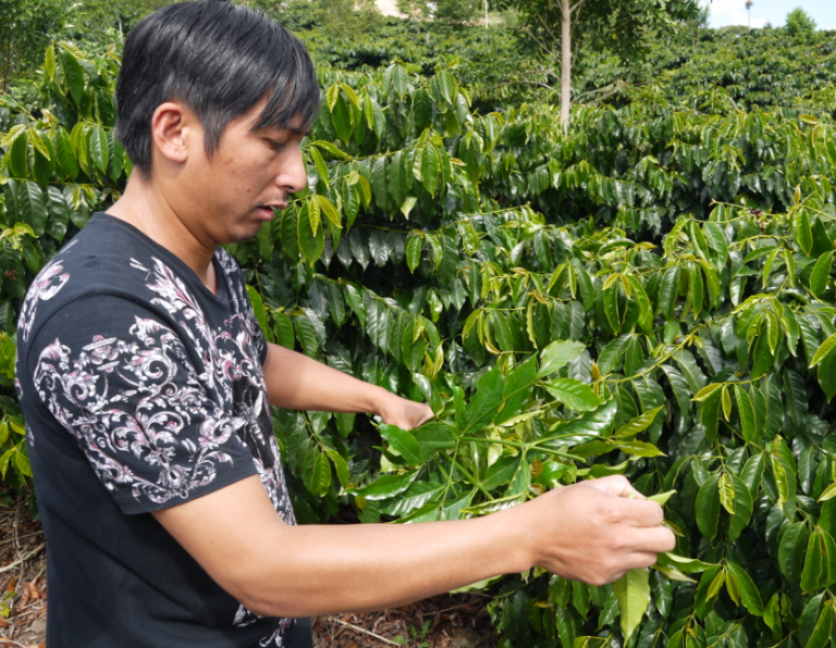 Taiwan's Coffee Scene | Royal Coffee