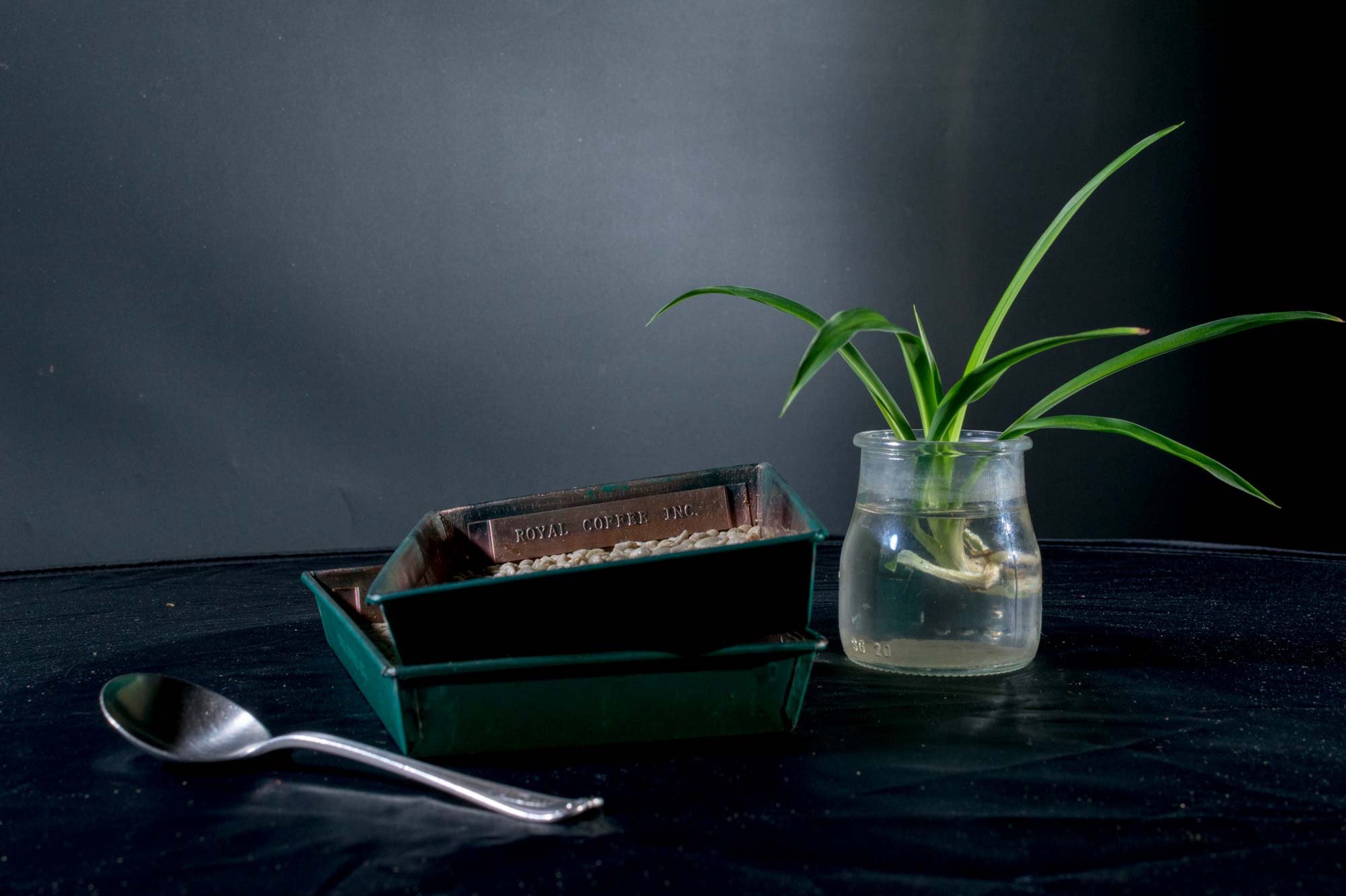 How To Set Up And Run A Coffee Cupping: A Step-by-Step Guide | Royal Coffee