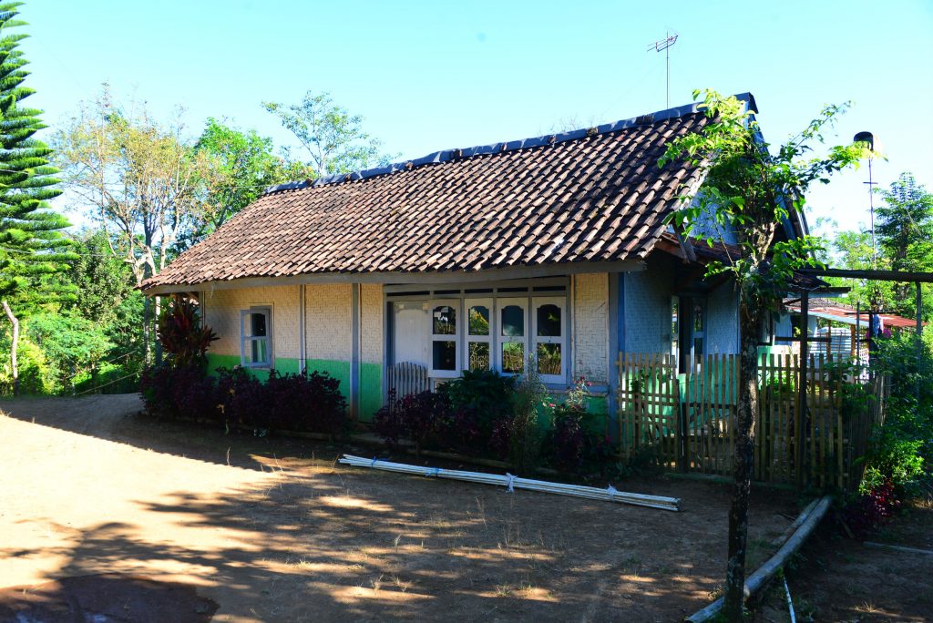 JAVA FT-FLO/USA ORGANIC KAYUMAS WASHED A/WP-1 - 33109 - GrainPro Bags ...