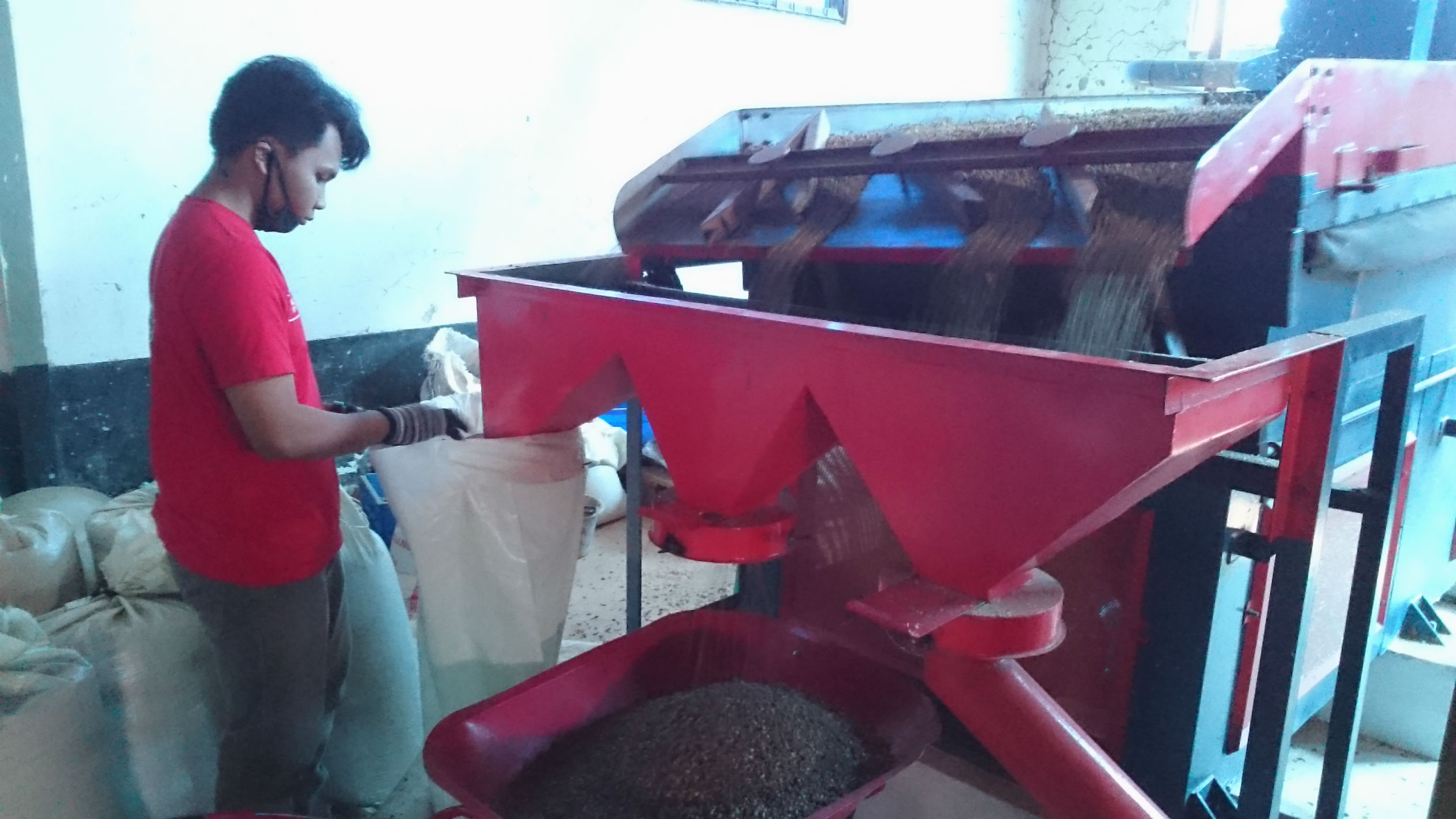 Java Preanger Washed A/Wp-1X - *51057* - 25303 - GrainPro Bags - SPOT ...