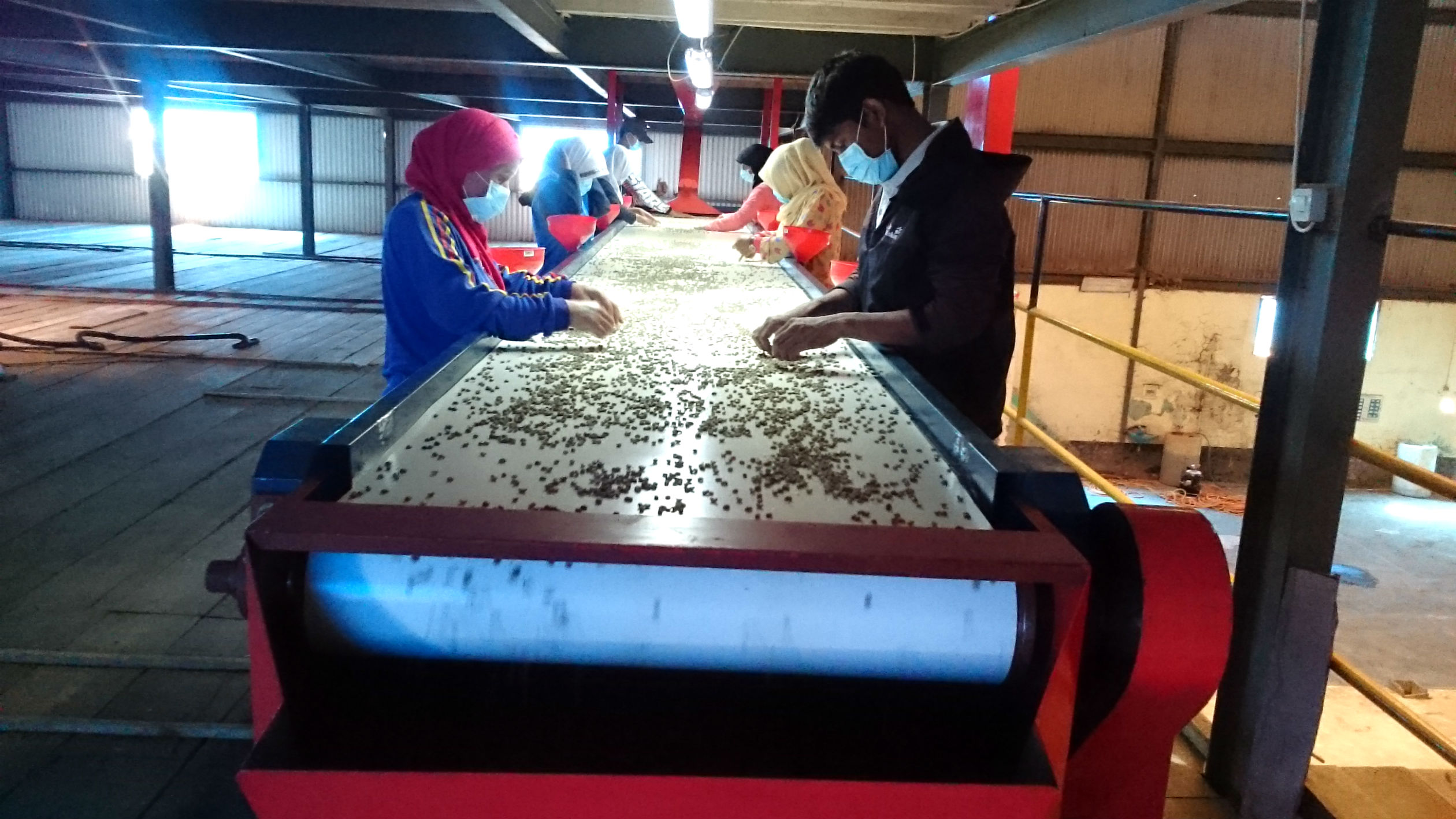 Java Preanger Washed A/Wp-1X - *51057* - 25303 - GrainPro Bags - SPOT ...