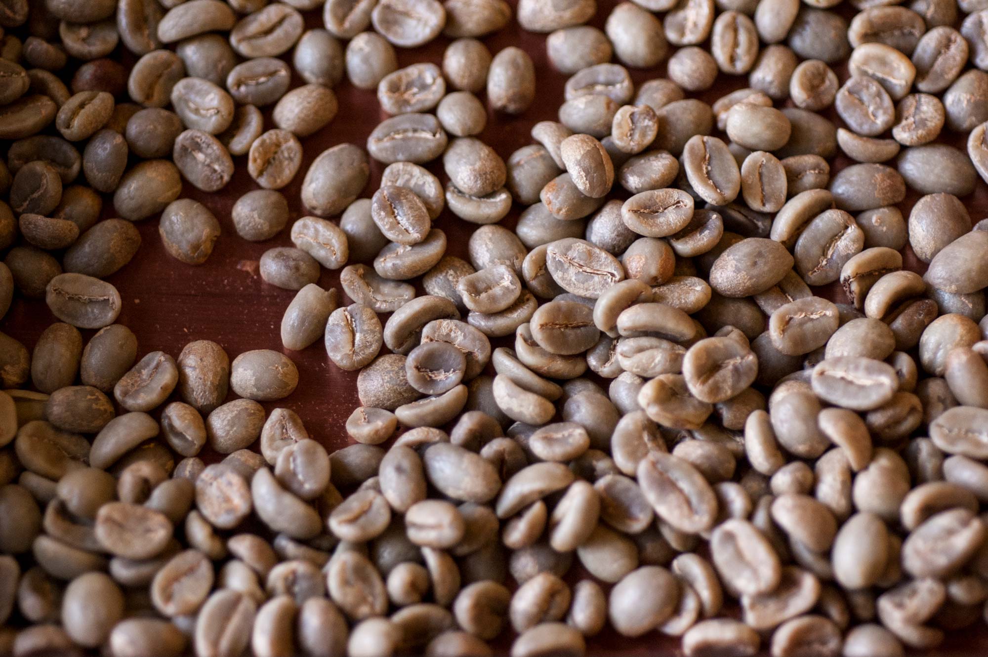 History Of Green Coffee Extract + Recipes - One Of Coffee’s First Brew ...