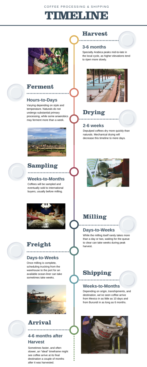 Harvest & Arrival: A Roaster's Guide To Coffee Seasons | Royal Coffee