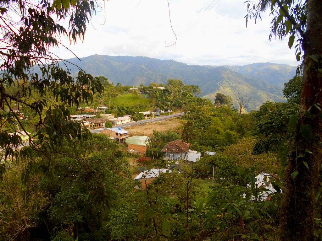 Colombia Huila Acevedo AA - 29616 - 70.0 Kg GrainPro Bags - SPOT RCWHSE ...