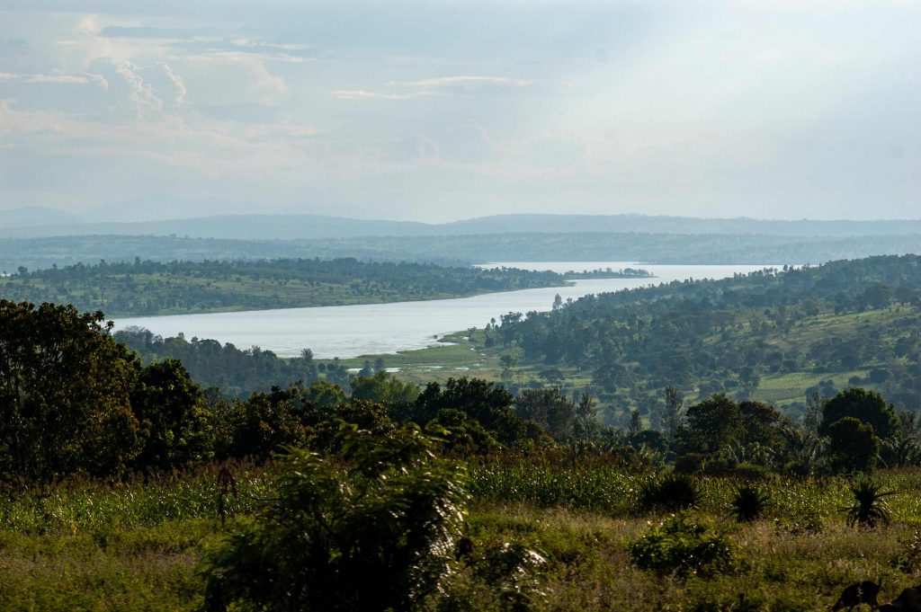 Imagine: A Trip To Burundi And Rwanda | Royal Coffee