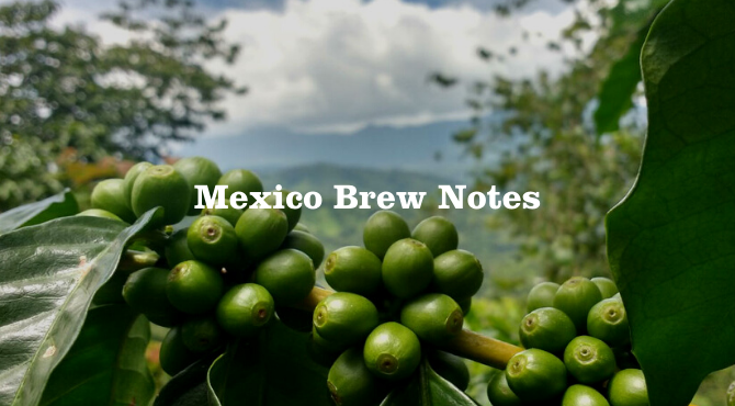 Brew Notes | Royal Coffee