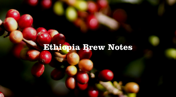 Brew Notes | Royal Coffee