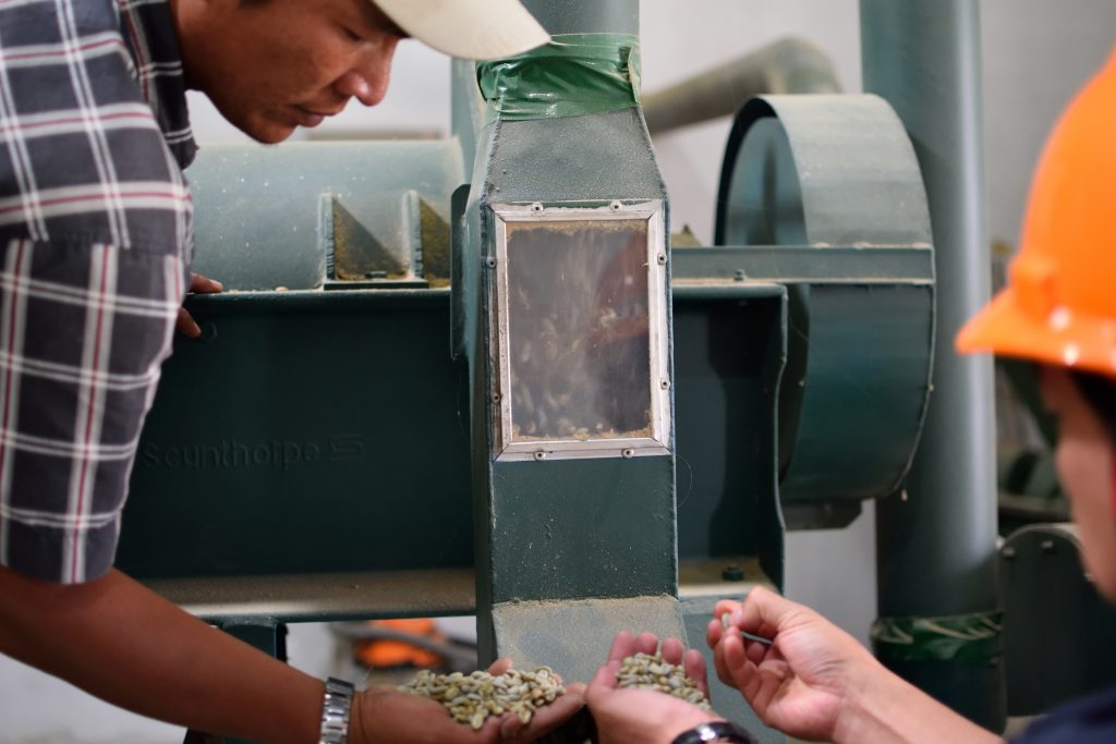 Coffee Processing - A Flowchart | Royal Coffee