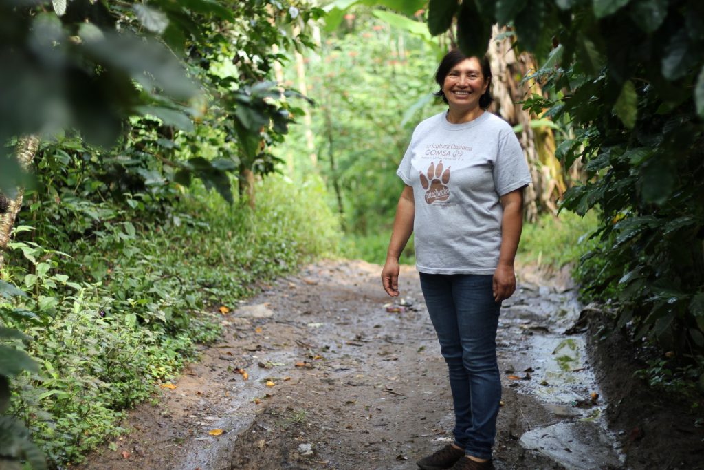 ROYAL GEM HONDURAS FT-FLO ORGANIC COMSA MANOS DE MUJER SHG EP - 32941-1 ...