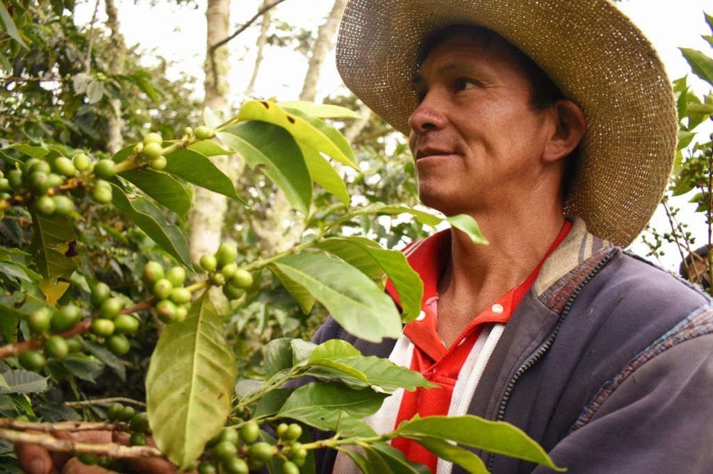 PERU ORGANIC CALLAYUC DEMETRIO PAREDES - *52067* - 27158 - GrainPro ...