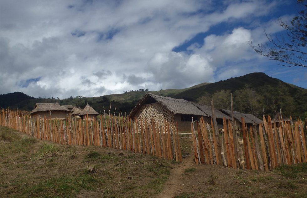 Royal Gem Papua New Guinea Jiwaka Arufa Natural - 33941-2 - SPOT RCWHSE ...