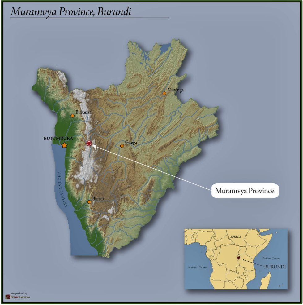 Crown Jewel Burundi Natural Bukeye Muramvya Province - 36164-1 - SPOT ...