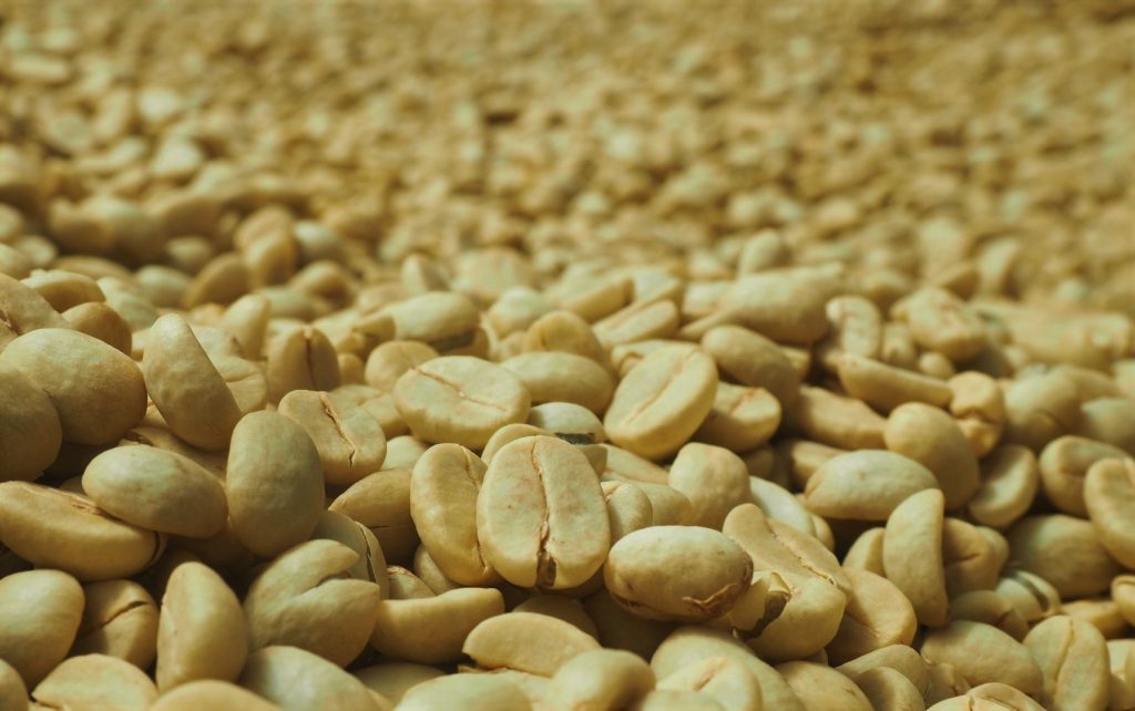 Ethiopia Yirgacheffe 1 Washed Kochere Aramo 28152 4 GrainPro Bags ethiopia-yirgacheffe-1-washed-kochere-aramo-28152-4-grainpro-bags