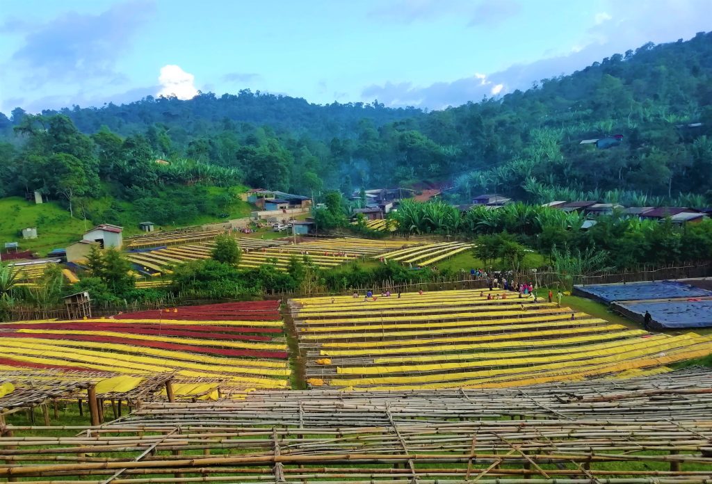 Ethiopia Yirgacheffe 1 Washed Kochere Aramo - 28152-4 - GrainPro Bags ...