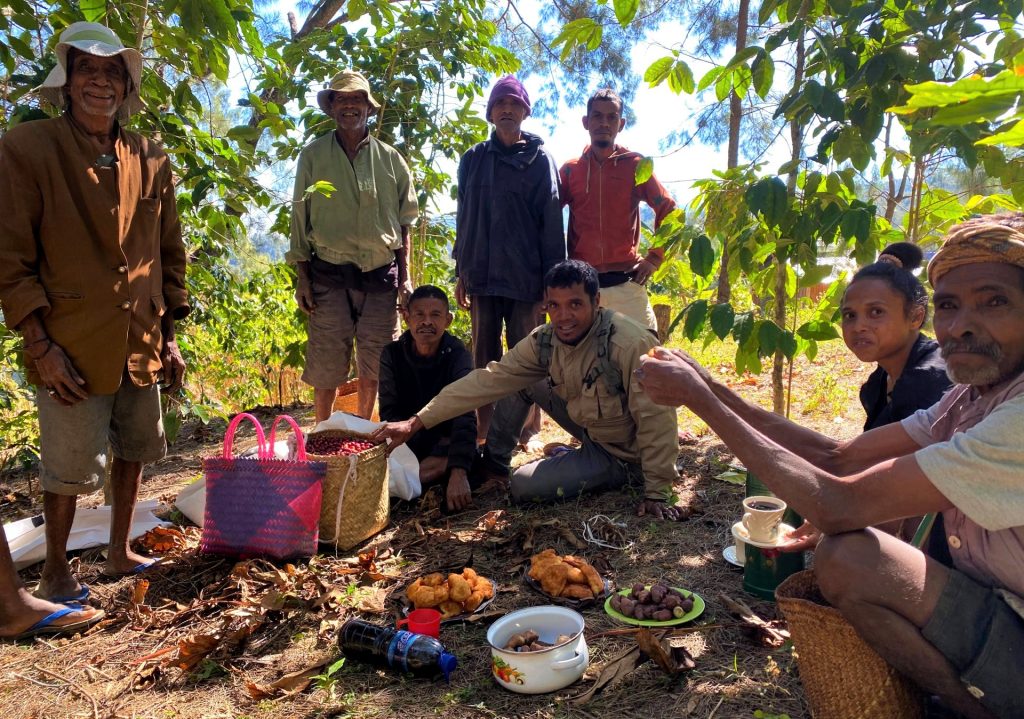TIMOR LESTE FARMGATE ORGANIC ERMERA SABELO - 35801 - 30.0 Kg GrainPro ...