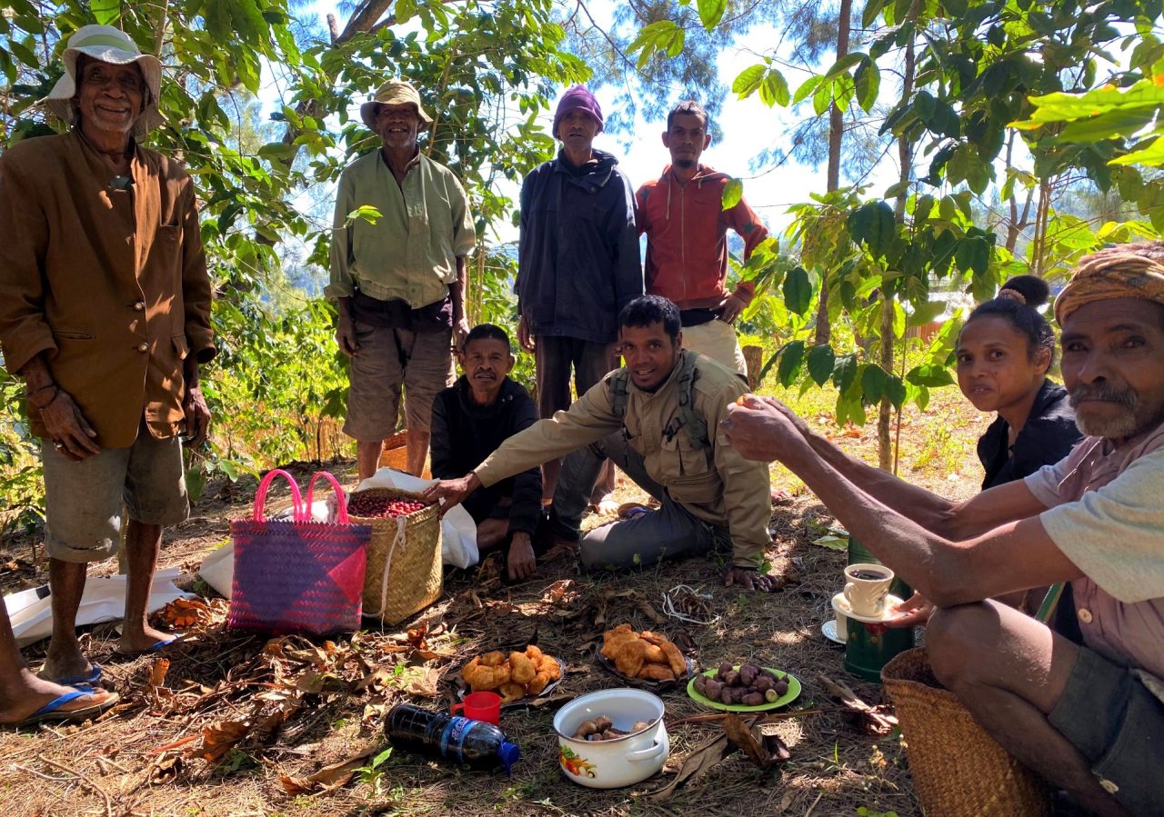 TIMOR LESTE FARMGATE ORGANIC ERMERA SABELO - 30184 - 30.0 Kg GrainPro ...