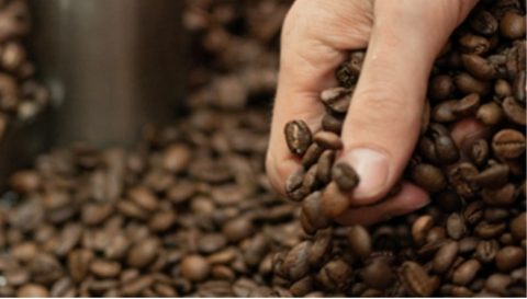 Resources For Coffee Professionals & Enthusiasts | Royal Coffee