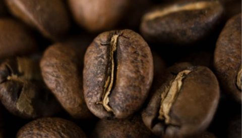 Resources For Coffee Professionals & Enthusiasts | Royal Coffee