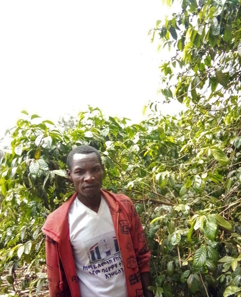 Ethiopia Farmgate COE National Select Jury Yirgacheffe 1 Natural Bekele ...