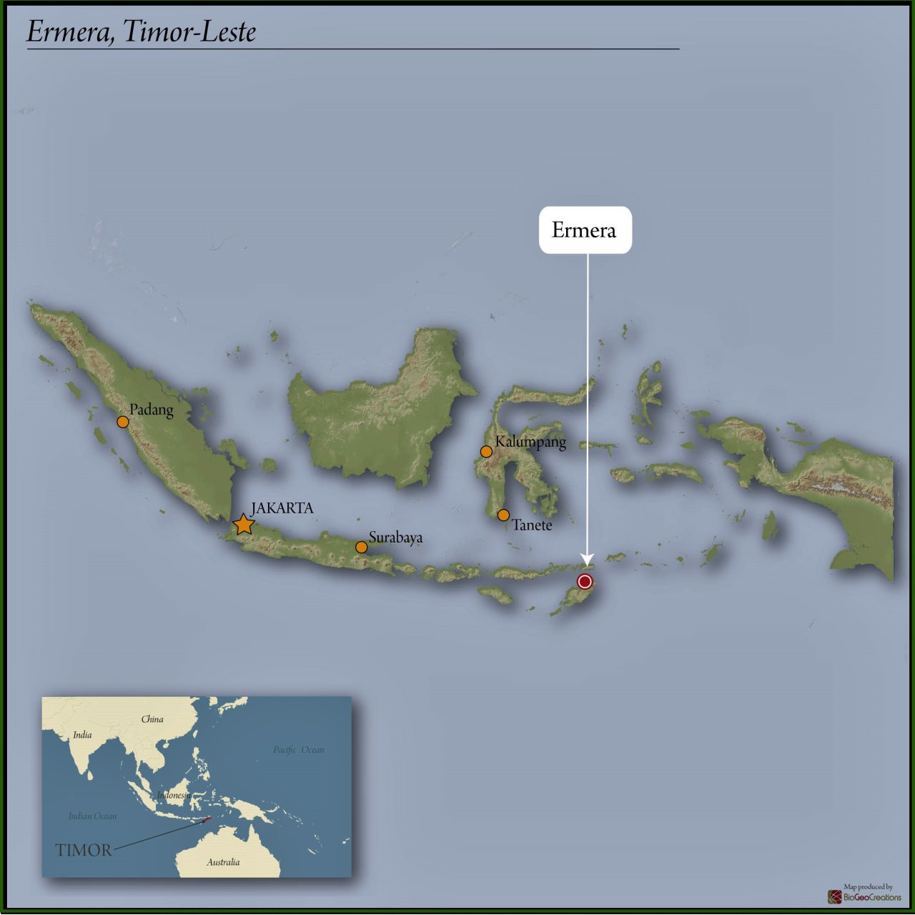 TIMOR LESTE FARMGATE ORGANIC ERMERA LEBUDU KRAIK - 32610 - 30.0 Kg ...