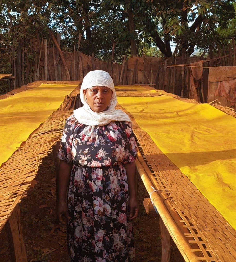 Ethiopia Yirgacheffe 1 Natural Gedeb Worka Sakaro Gebanesh Gulufa ...