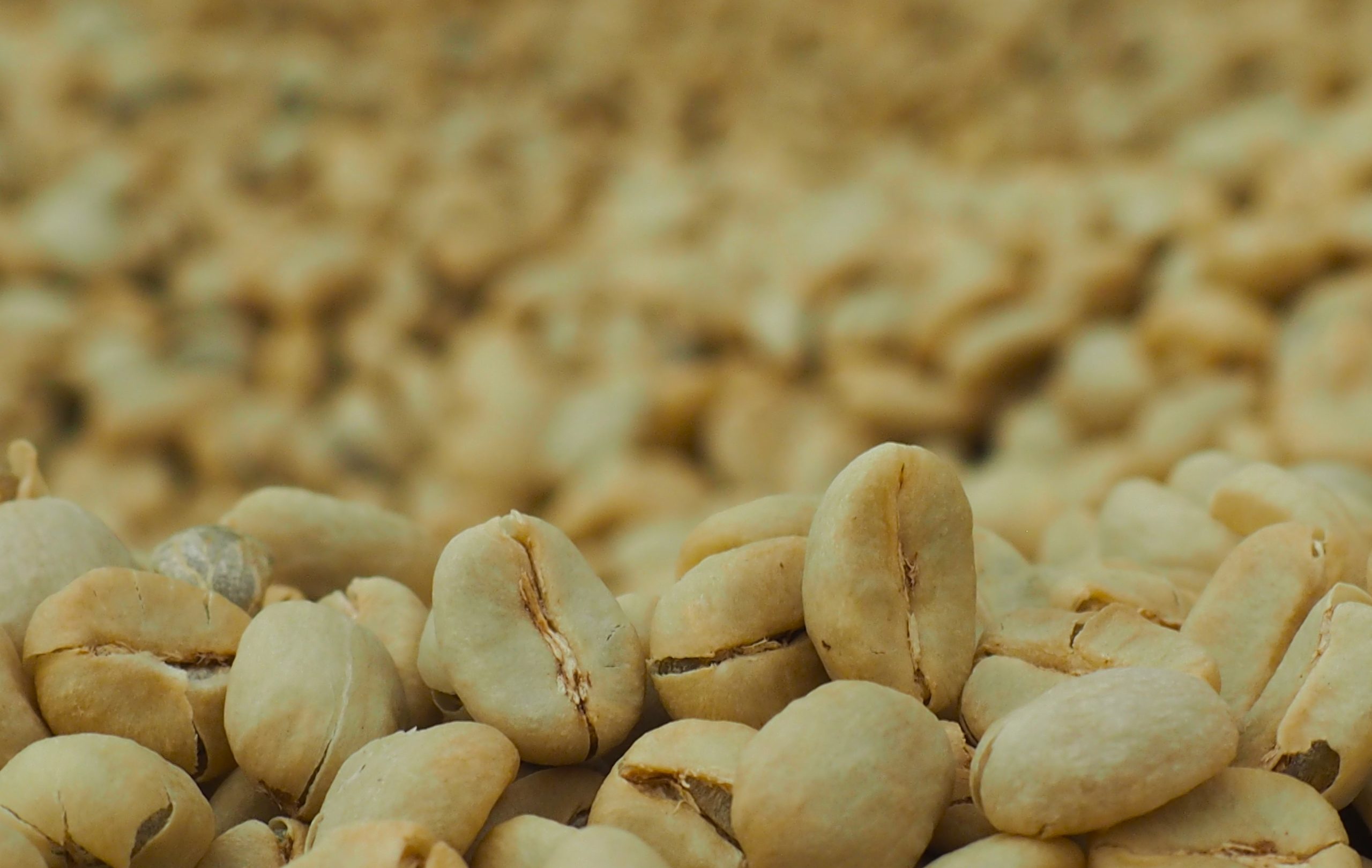 Ethiopia Yirgacheffe 1 Washed Banko Taratu - 31676 - GrainPro Bags - SPOT RCWHSE | Royal Coffee