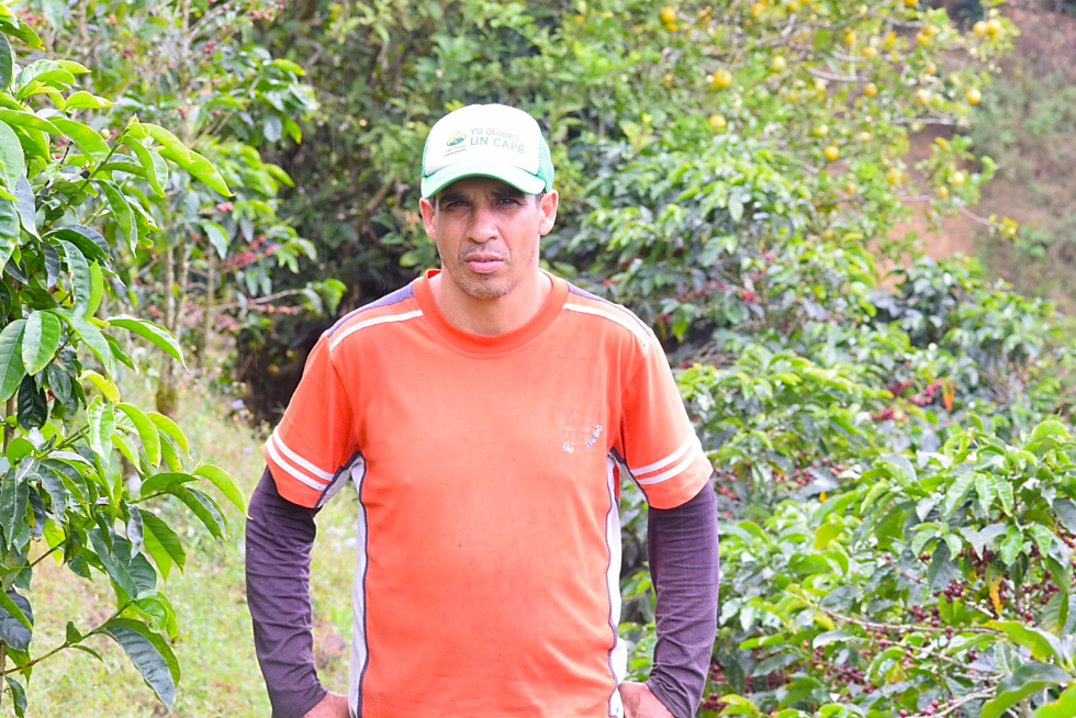 Costa Rica Don Claudio Natural Caturra Catuai SHB EP - 28241 - GrainPro ...