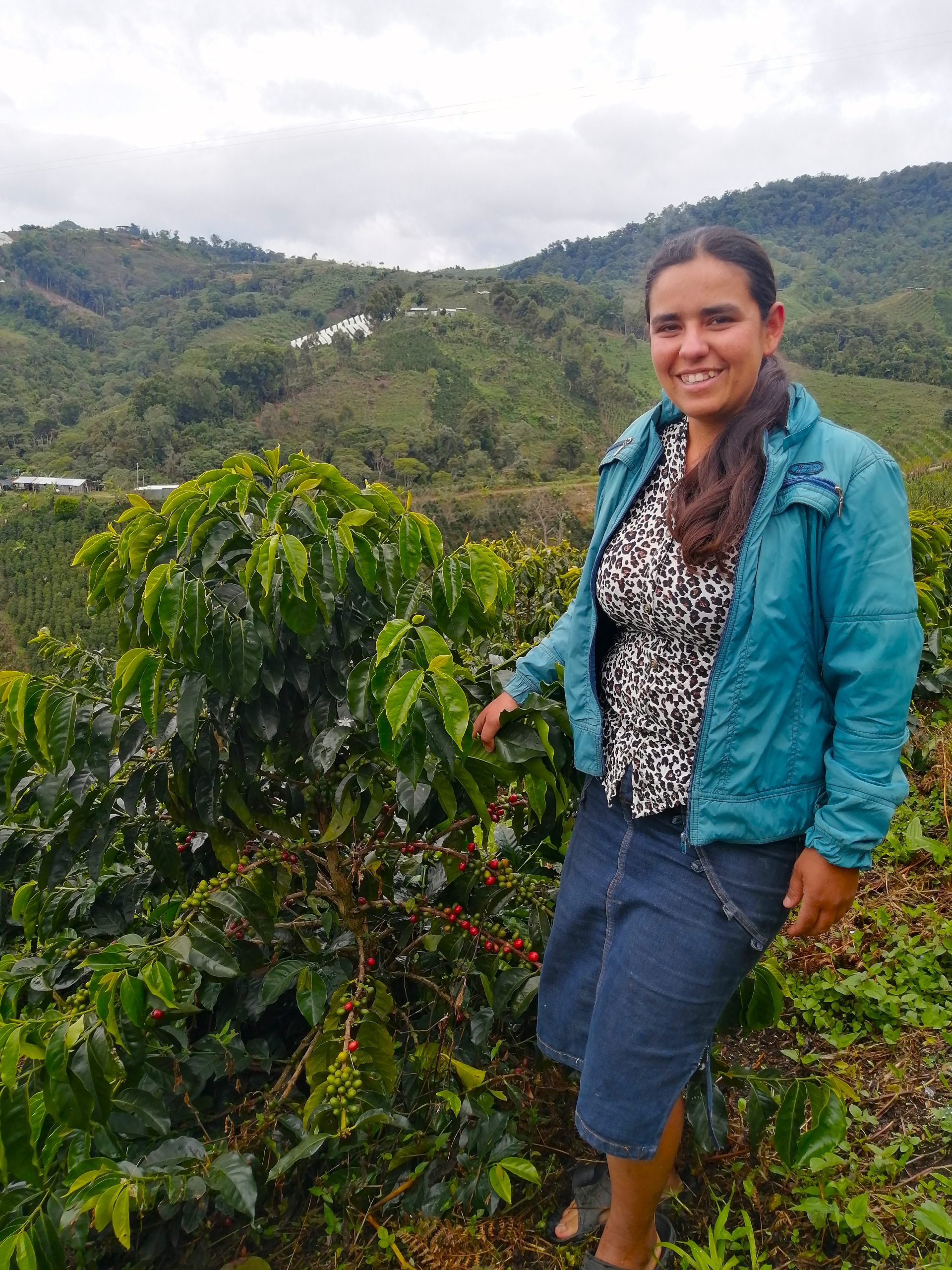 Crown Jewel Colombia Huila Palo De Rosa Double Fermented And Washed ...