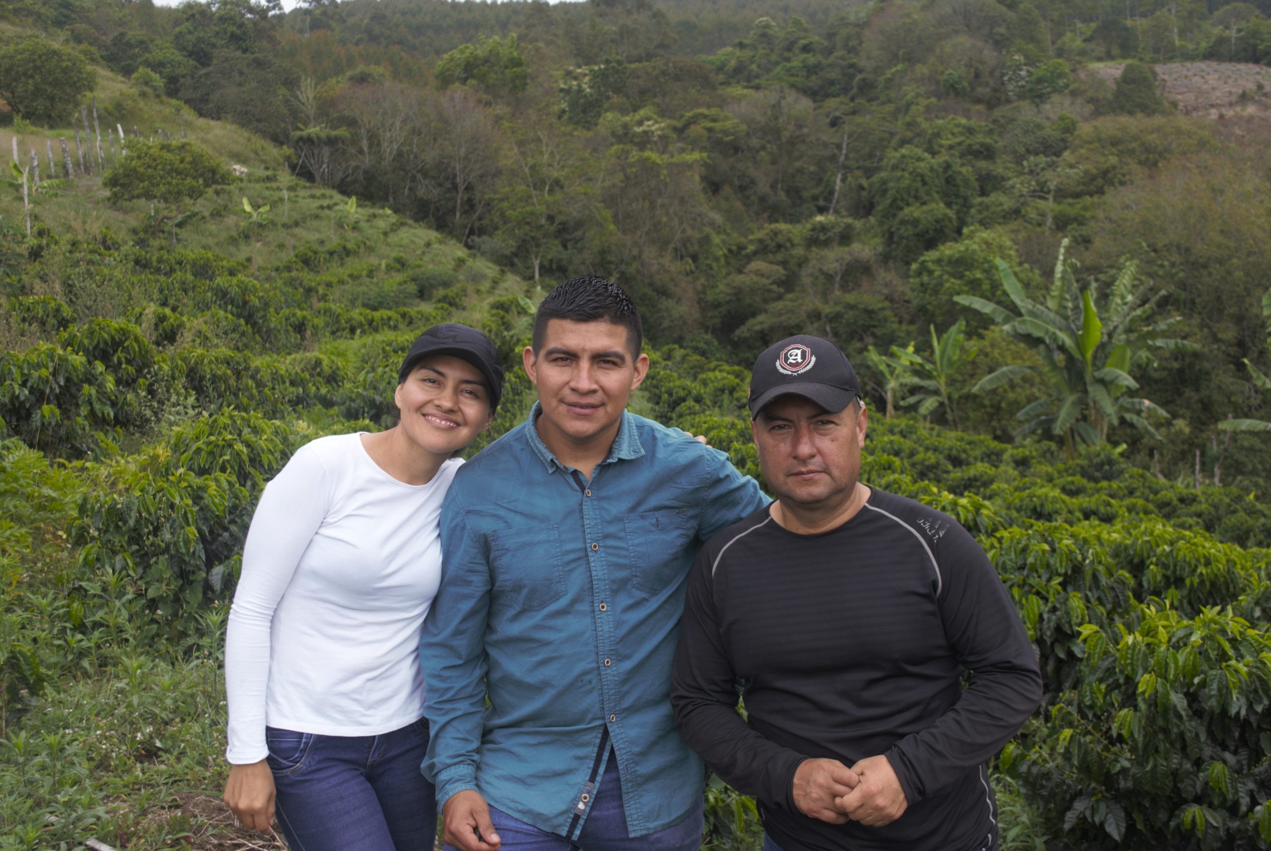 Colombia Cauca Inza Sotara - 32965 - 70.2 Kg GrainPro Bags - ETA: Jun ...