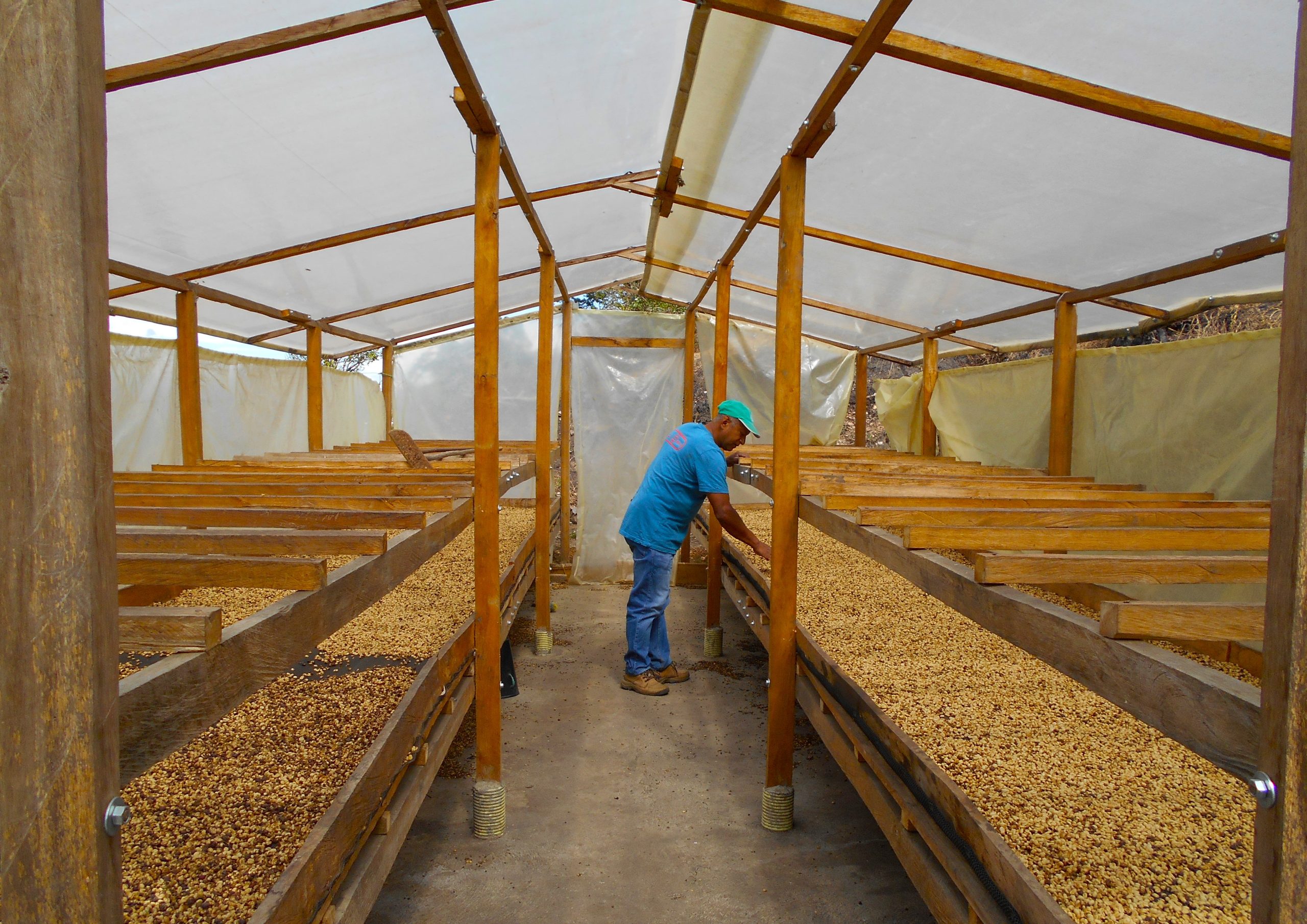 Colombia Cauca Inza Sotara - 32965 - 70.2 Kg GrainPro Bags - ETA: Jun ...