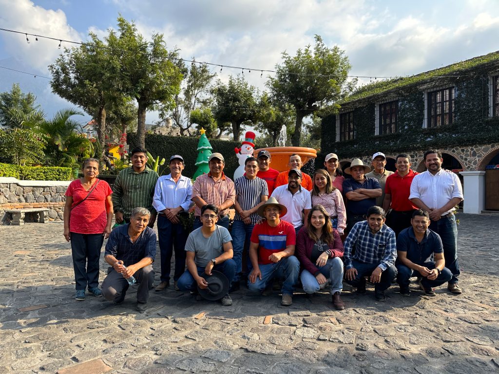 Guatemala Huehuetenango Q'Anil SHB - 33446 - GrainPro Bags - SPOT ...