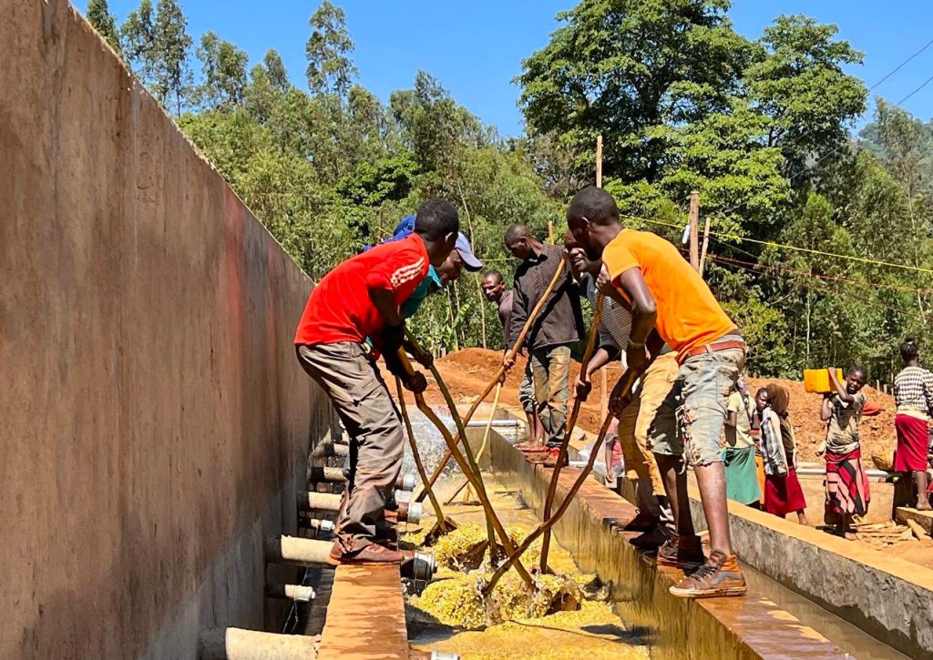 Ethiopia Yirgacheffe 2 Washed Banko Chelchele - 34086 - GrainPro Bags ...