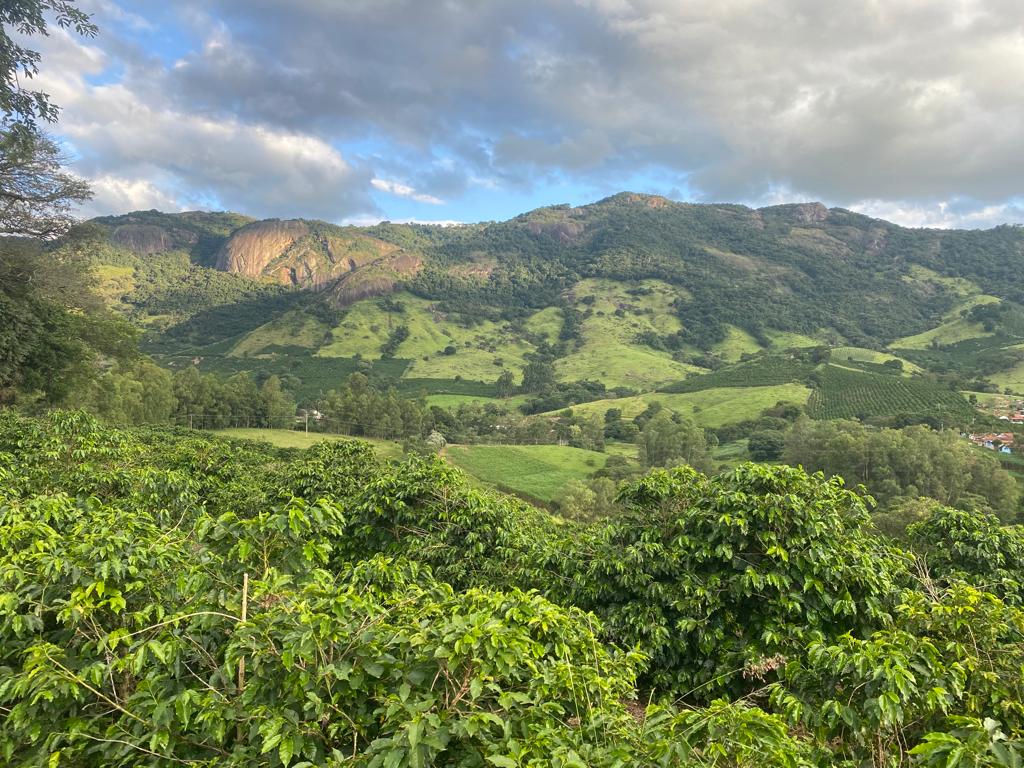 Brazil Coffee Crop Update: Frost Reports