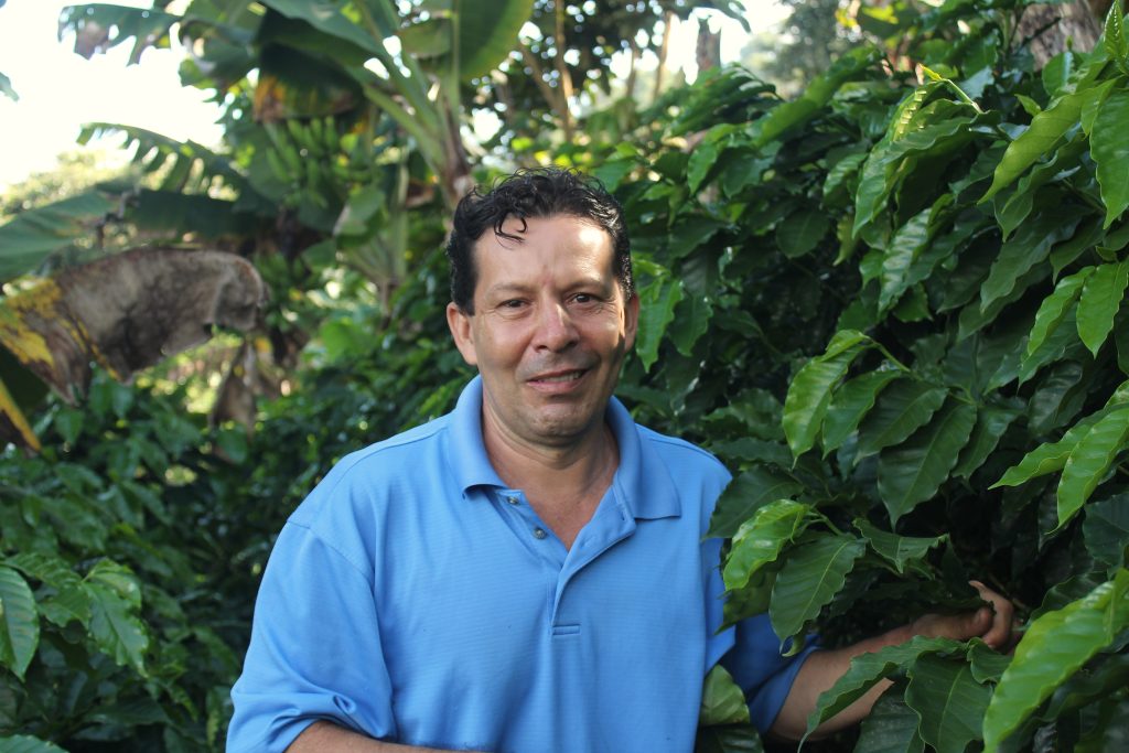 Crown Jewel Honduras Anaerobic Natural Parainema Nelin Guzman - 38638-1 ...