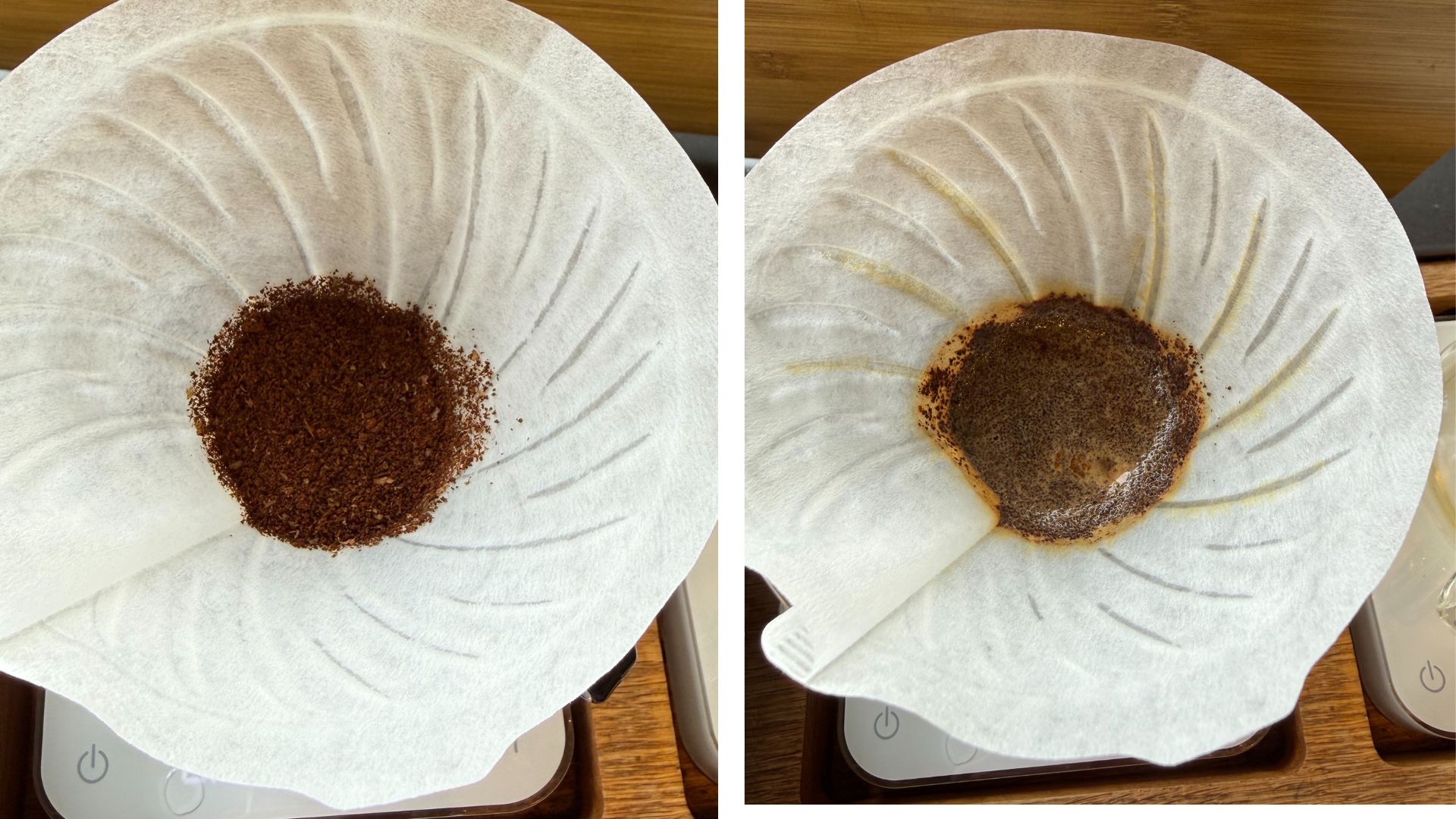 How To Master The Coffee Bloom For A Perfect Pour-Over | Royal Coffee